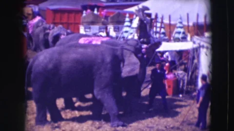 Ringling Brothers Circus Stock Videos – Royalty-Free HD & 4K Videos ...