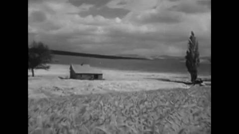 Slavery America Stock Videos – Royalty-Free HD & 4K Videos | Pond5