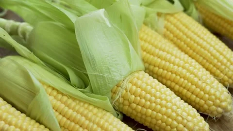 Crop Rotation Stock Video Footage | Royalty Free Crop Rotation Videos ...