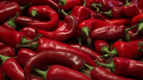 Cash Hatches Stock Videos – Royalty-Free HD & 4K Videos | Pond5