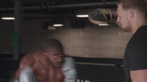 Ripped Boxer with Six Pack Trains with C... | Stock Video | Pond5