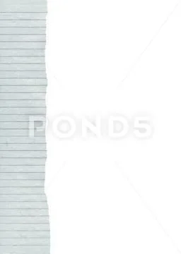Ripped lined paper background: Royalty Free #91335398