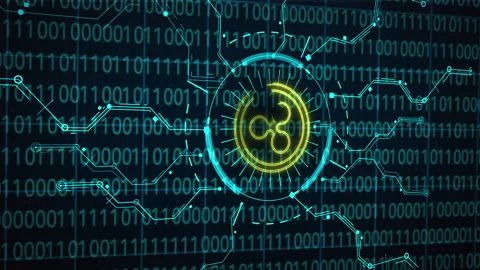 Money Signt Stock Videos – Royalty-Free HD & 4K Videos