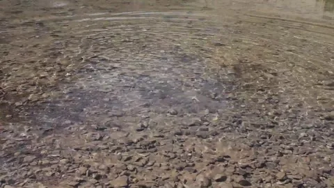 Ripples produced by a stone falling into... | Stock Video | Pond5