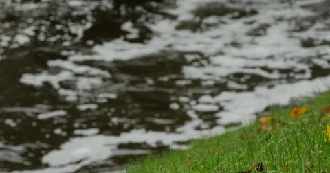 Dirty Water Ripple Stock Video Footage | Royalty Free Dirty Water ...