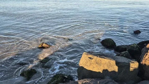 What Is Riptide Stock Videos – Royalty-Free HD & 4K Videos | Pond5