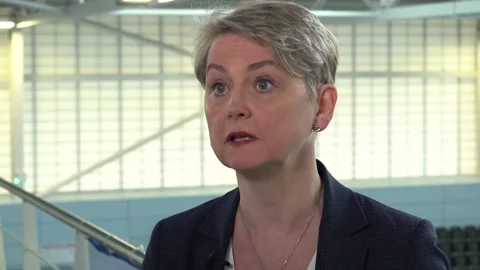 Always Someone W Stock Videos – Royalty-Free HD & 4K Videos