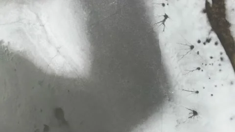 Rising over a thinning sheet of ice duri... | Stock Video | Pond5
