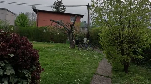 Rising Up: The Science Behind Vertical M... | Stock Video | Pond5