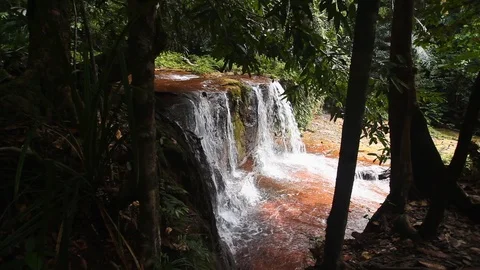 River and waterfall in Lambir, Borneo, M... | Stock Video | Pond5