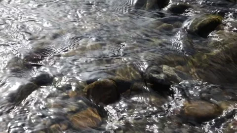 River with fast water flow on stones | Stock Video | Pond5