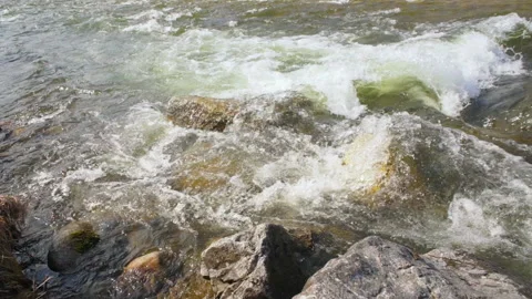 Sunny Sl Stock Videos – Royalty-Free HD & 4K Videos