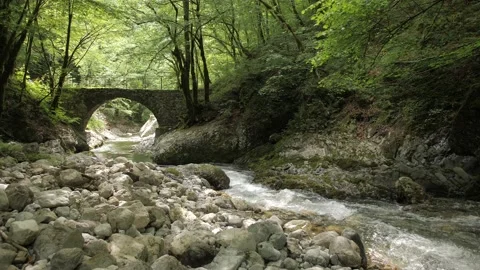 river flowing in secluded idyllic canyon... | Stock Video | Pond5