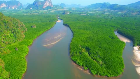 A river flows through lush mangrove fore... | Stock Video | Pond5