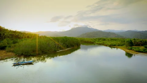 Golden Background Landscape Stock Videos – Royalty-Free HD & 4K Videos