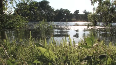 River low angle in silhouette with refle... | Stock Video | Pond5