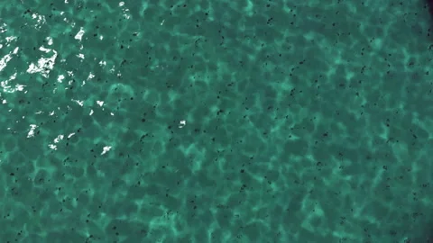 Green Wave Water Background Stock Video Footage | Royalty Free Green ...