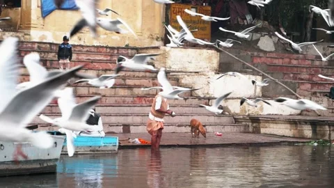 Riverside in India with people and birds... | Stock Video | Pond5