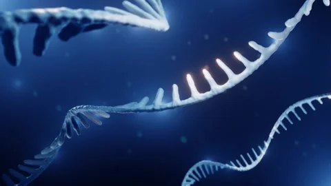 RNA animation | Stock Video | Pond5