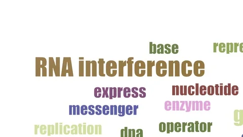 Rna Interference Word Cloud Animated Iso... | Stock Video | Pond5