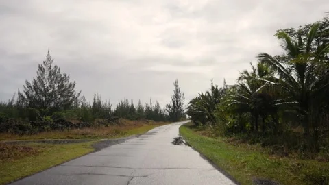 A road over a young lava flow with typic... | Stock Video | Pond5