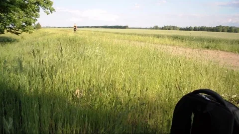 Road runner man running in Park, | Stock Video | Pond5