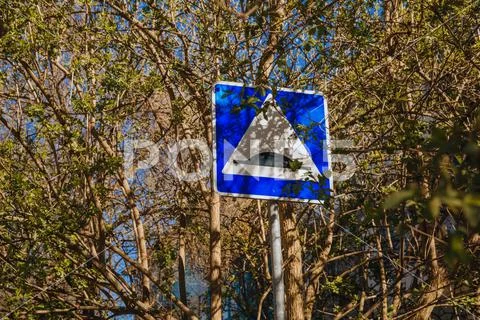 Road sign artificial roughness among the trees on which the leaves ...