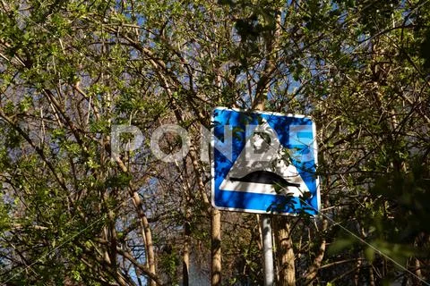 Road sign artificial roughness among the trees on which the leaves ...