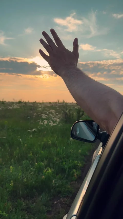 Car Free N Stock Videos – Royalty-Free HD & 4K Videos | Pond5