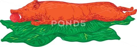 Roast Pig Lechon Banana Leaves Drawing Drawing sketch style ...