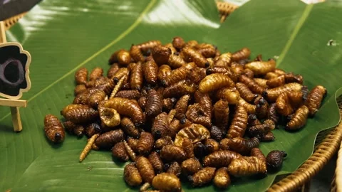 Roasted maggots at a thai food market in... | Stock Video | Pond5