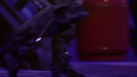 Run With Gun Stock Videos – Royalty-Free HD & 4K Videos | Pond5