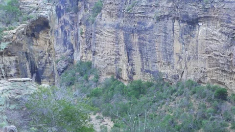Rock cliff wall with Caatinga forest in ... | Stock Video | Pond5