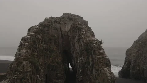 Rock Guano near Constitucion Maule Regio... | Stock Video | Pond5