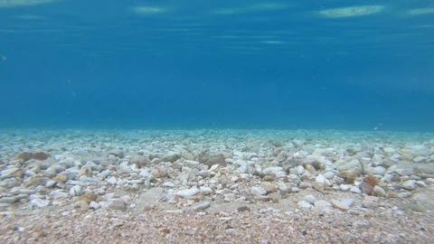 Rocks Under The Sea Water 4K Nature | Stock Video | Pond5