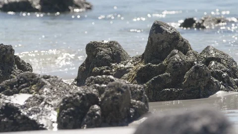 Rocky white sand beach static shot with ... | Stock Video | Pond5