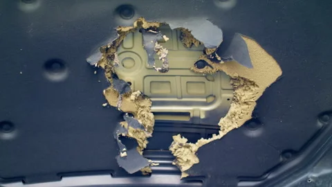 Rodents ruined the hood of the car. Pes... | Stock Video | Pond5