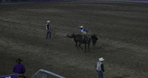 Rodeo Bare Back horse Bronco ride full 4... | Stock Video | Pond5