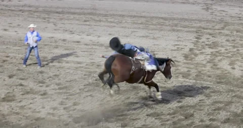 Rodeo bare back horse bronco ride 4K | Stock Video | Pond5