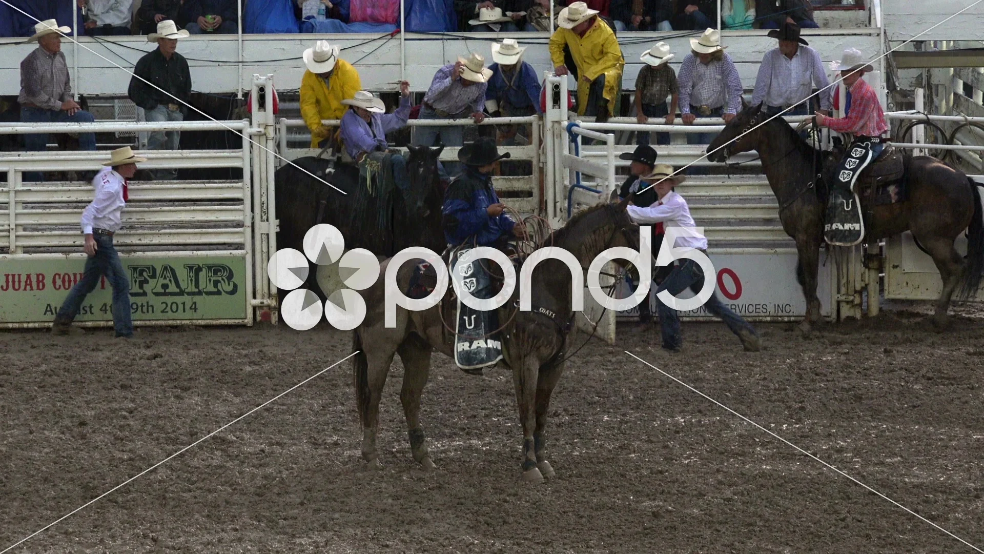 Rodeo Fails