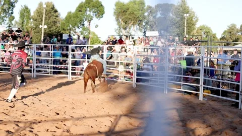 Action Sequence Stock Videos – Royalty-Free HD & 4K Videos