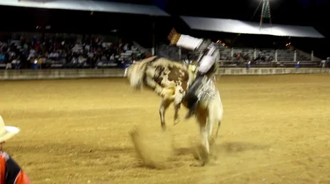 Rodeo bull riding | Stock Video | Pond5