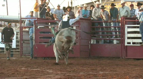Bull Riding Challenge Stock Videos – Royalty-Free HD & 4K Videos