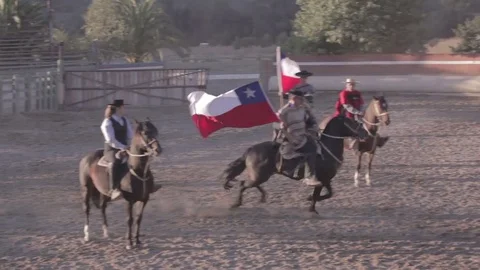 Women In Rodeo Stock Video Footage | Royalty Free Women In Rodeo Videos ...