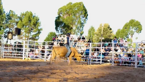 Tuffy Rodeo Clown Stock Video Footage | Royalty Free Tuffy Rodeo Clown ...