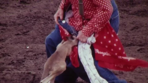 Rodeo Clown Stock Video Footage | Royalty Free Rodeo Clown Videos | Pond5