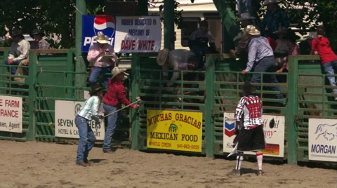 Bucking Bull Arena Stock Videos – Royalty-Free HD & 4K Videos | Pond5