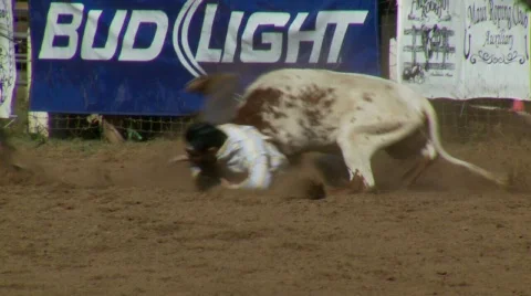 Bulldogging Stock Footage ~ Royalty Free Stock Videos | Pond5