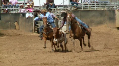 Bulldogging Stock Footage ~ Royalty Free Stock Videos | Pond5