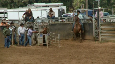 Rodeo Cowboys - Calf Roping in Slow Moti... | Stock Video | Pond5